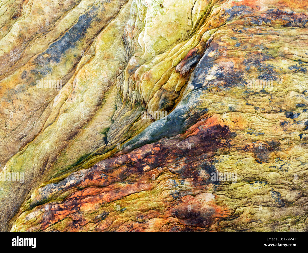 Boulmer beach hi-res stock photography and images - Alamy