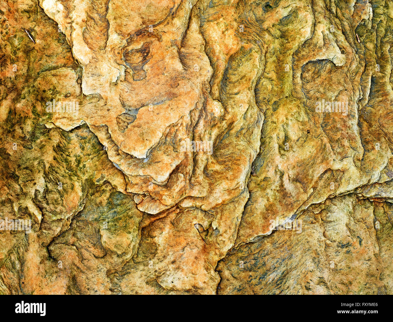 Rock Detail on Boulmer Beach Northumberland Coast England Stock Photo ...