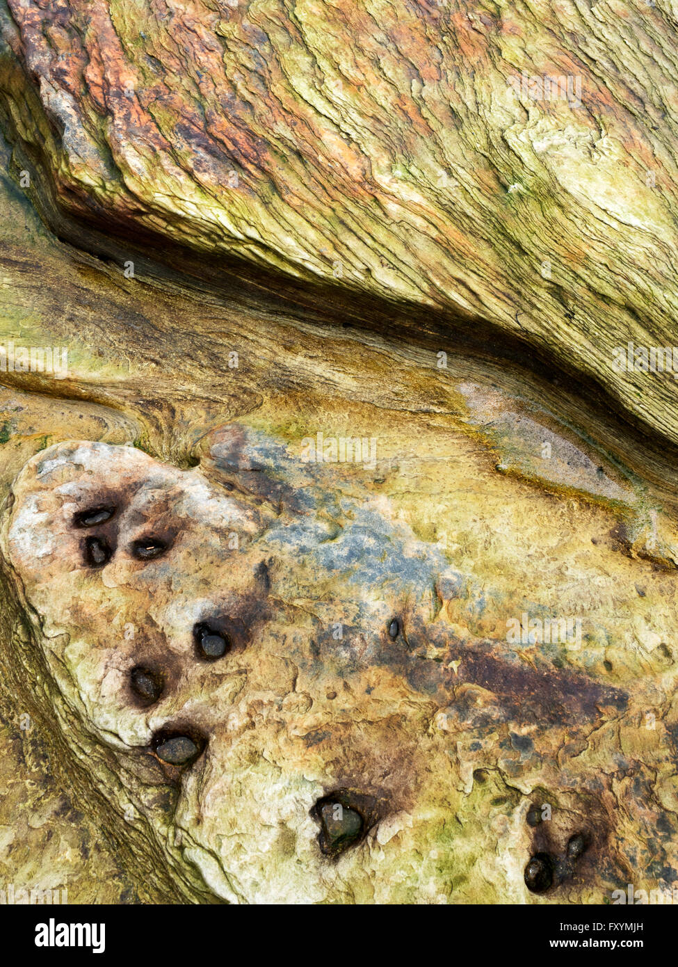 Rock Detail on Boulmer Beach Northumberland Coast England Stock Photo ...