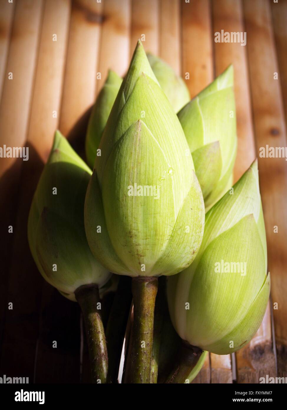 Lotus Flower Stock Photos Stock Photo - Alamy