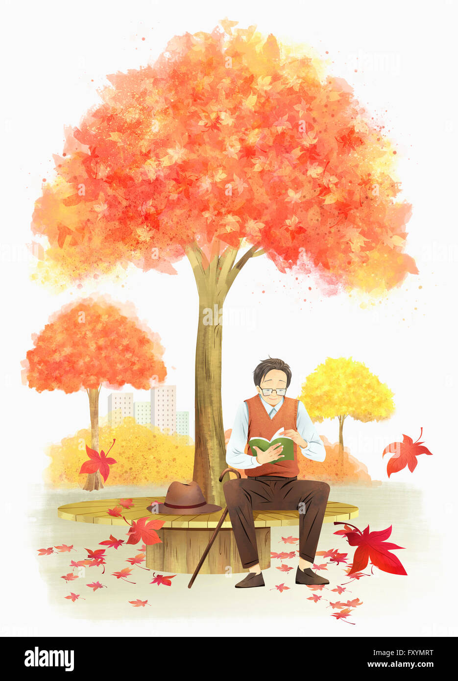 Senior man reading a book seated on a bench under maple tree in ...