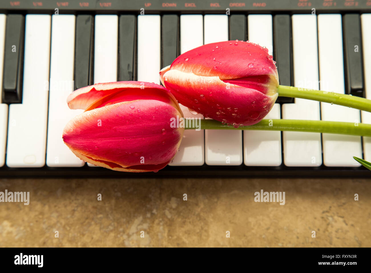 Still life on a piano hi-res stock photography and images - Alamy