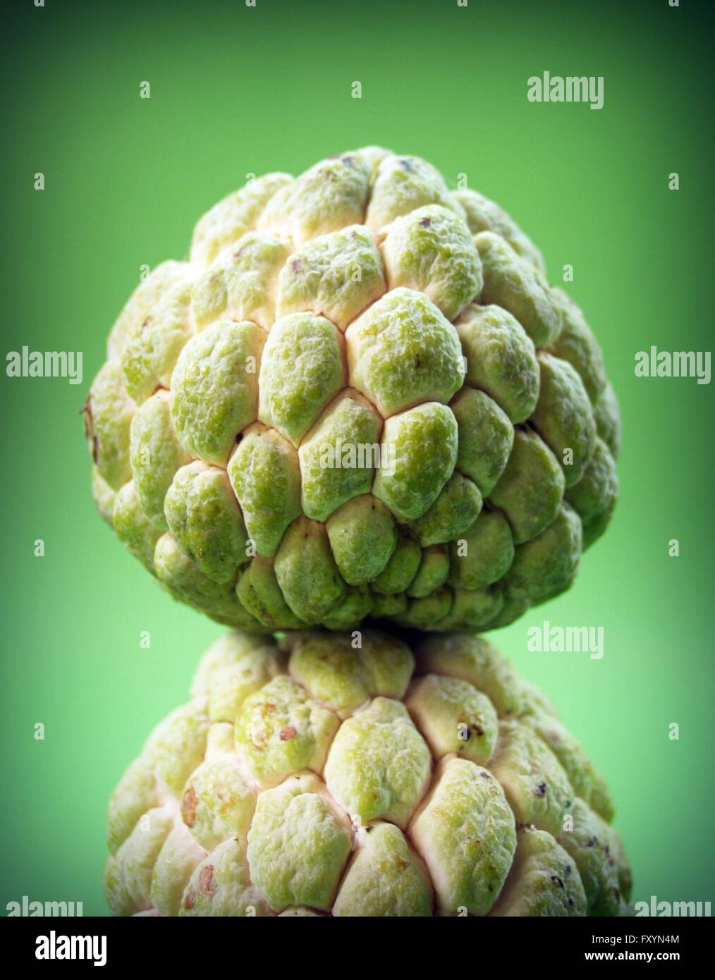 Sugar Apple fruit Stock Photo - Alamy