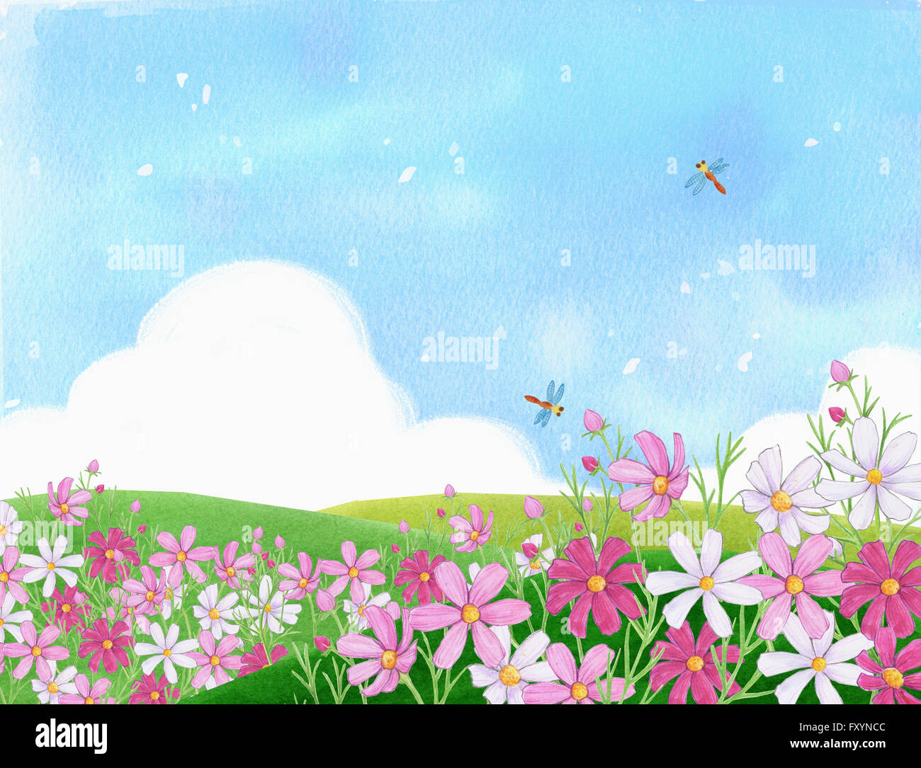 Watercolor illustration representing flower field in fall Stock Photo ...