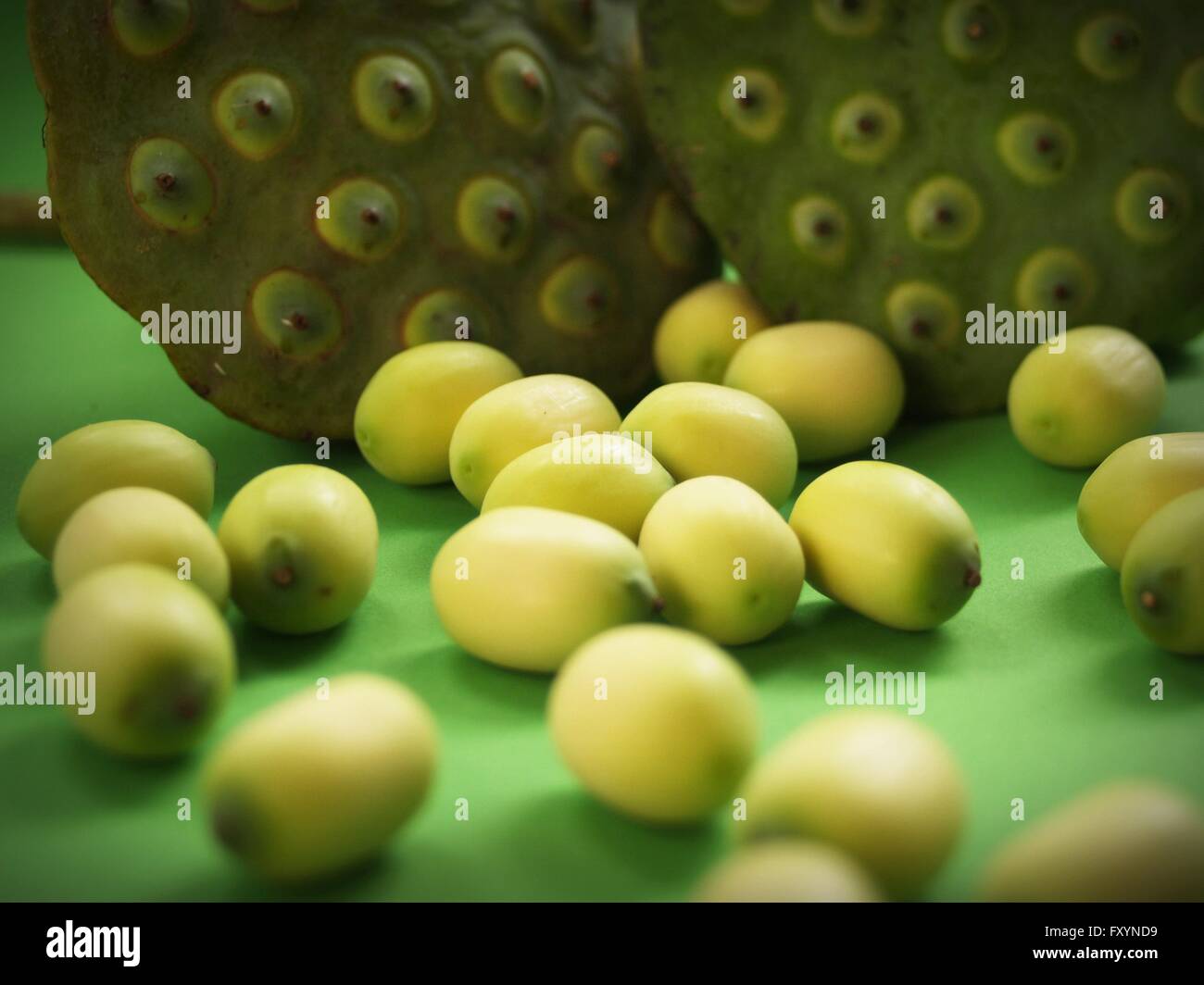 Lotus seeds green on Isolated Stock Photo - Alamy