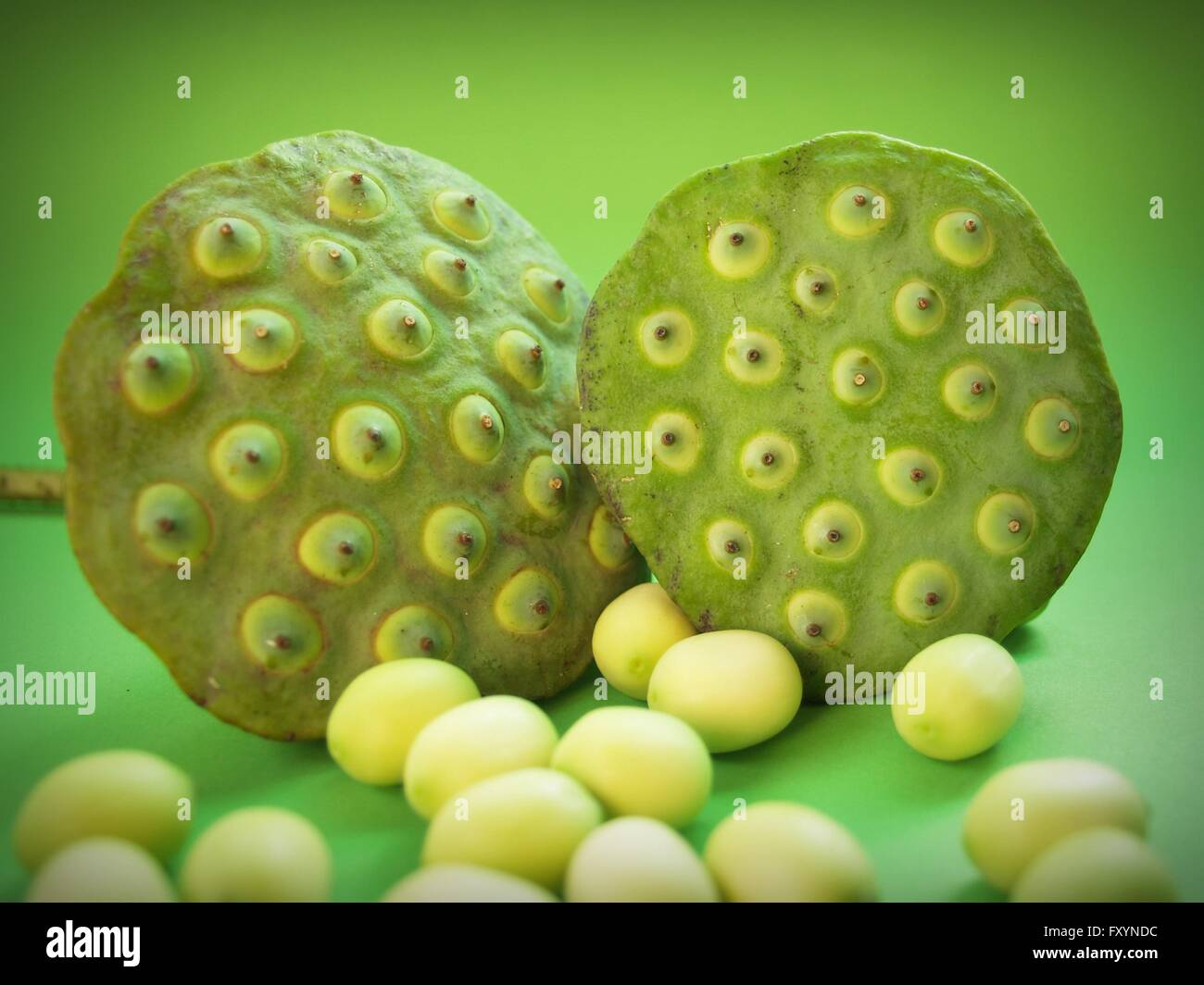 Lotus seeds green on Isolated Stock Photo - Alamy