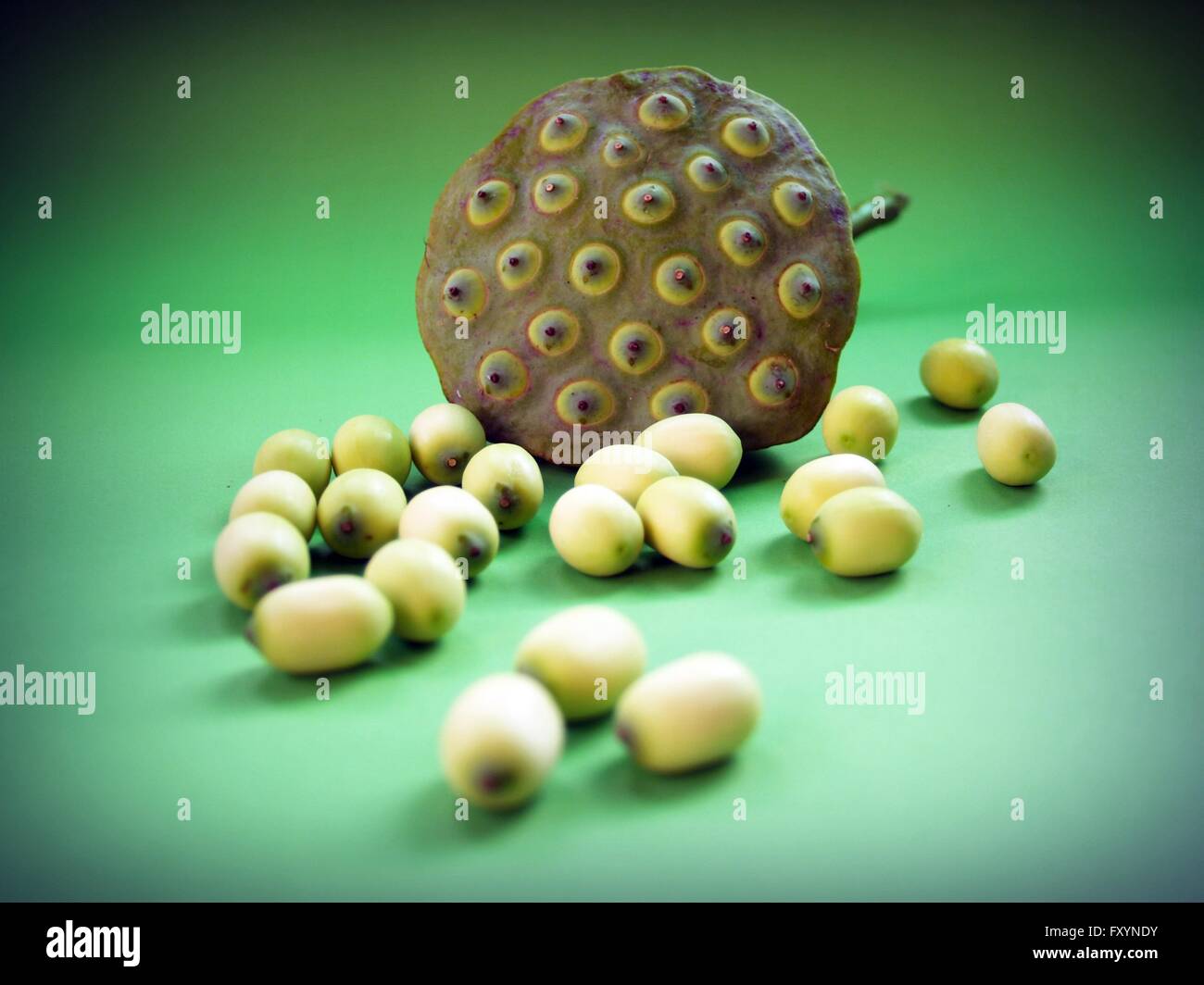 Lotus seeds green on Isolated Stock Photo - Alamy
