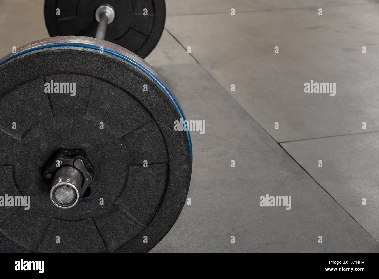 Close-up of a barbell with black and blue plates on a gym floor Stock ...