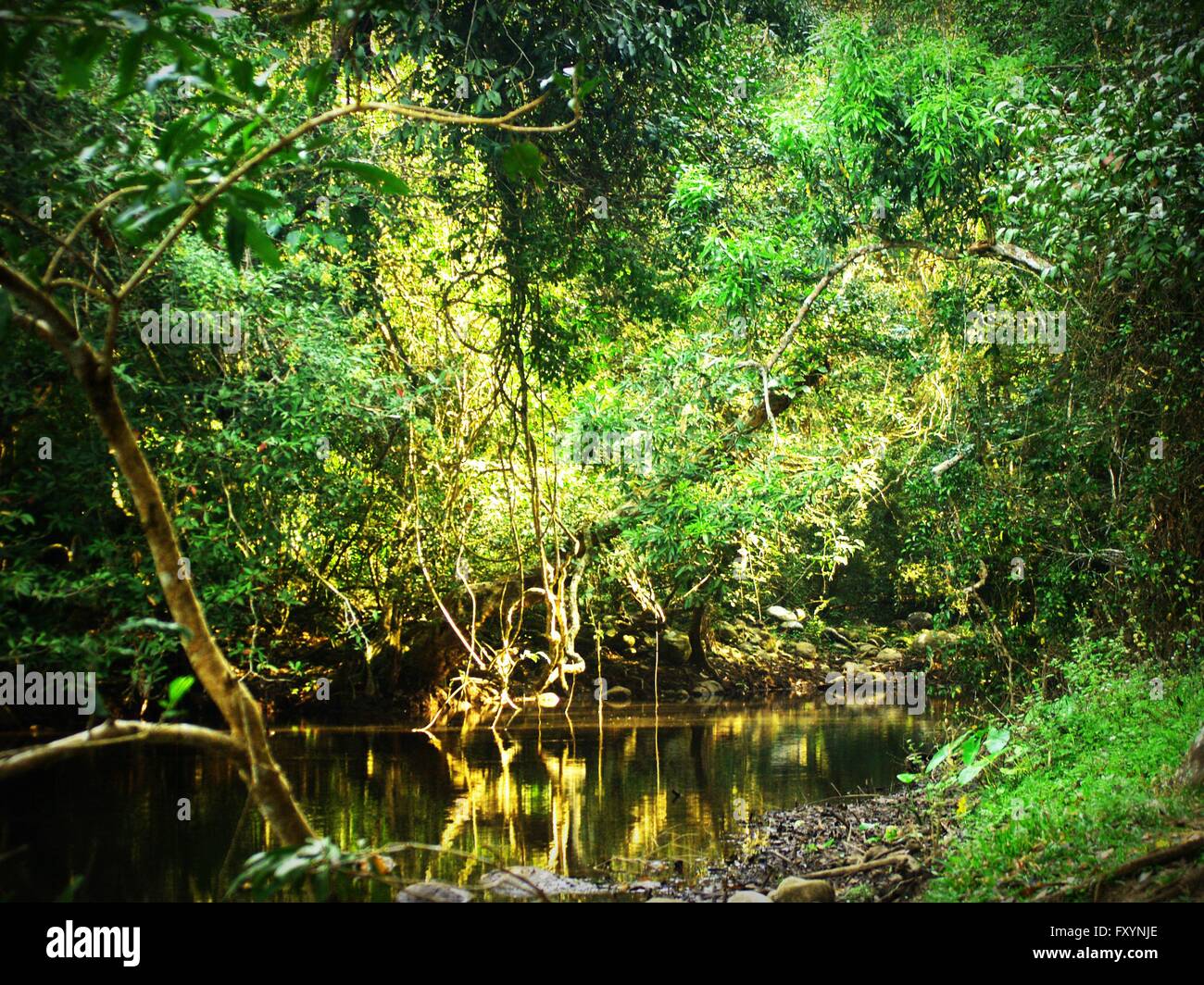 Khao yai bangkok hi-res stock photography and images - Alamy