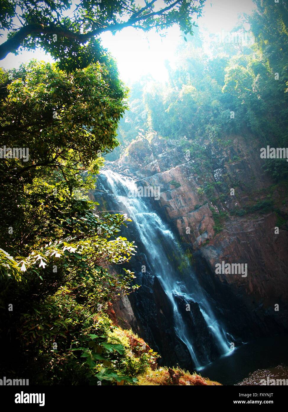 Water fall of Khao Yai National Park Stock Photo - Alamy