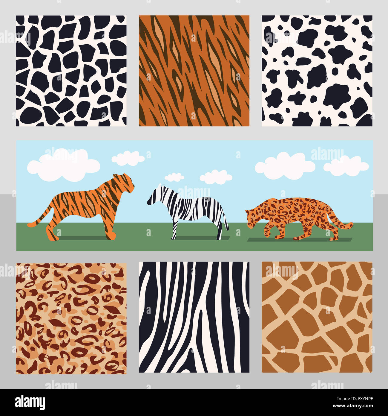 Various animal patterns in illustration Stock Photo - Alamy