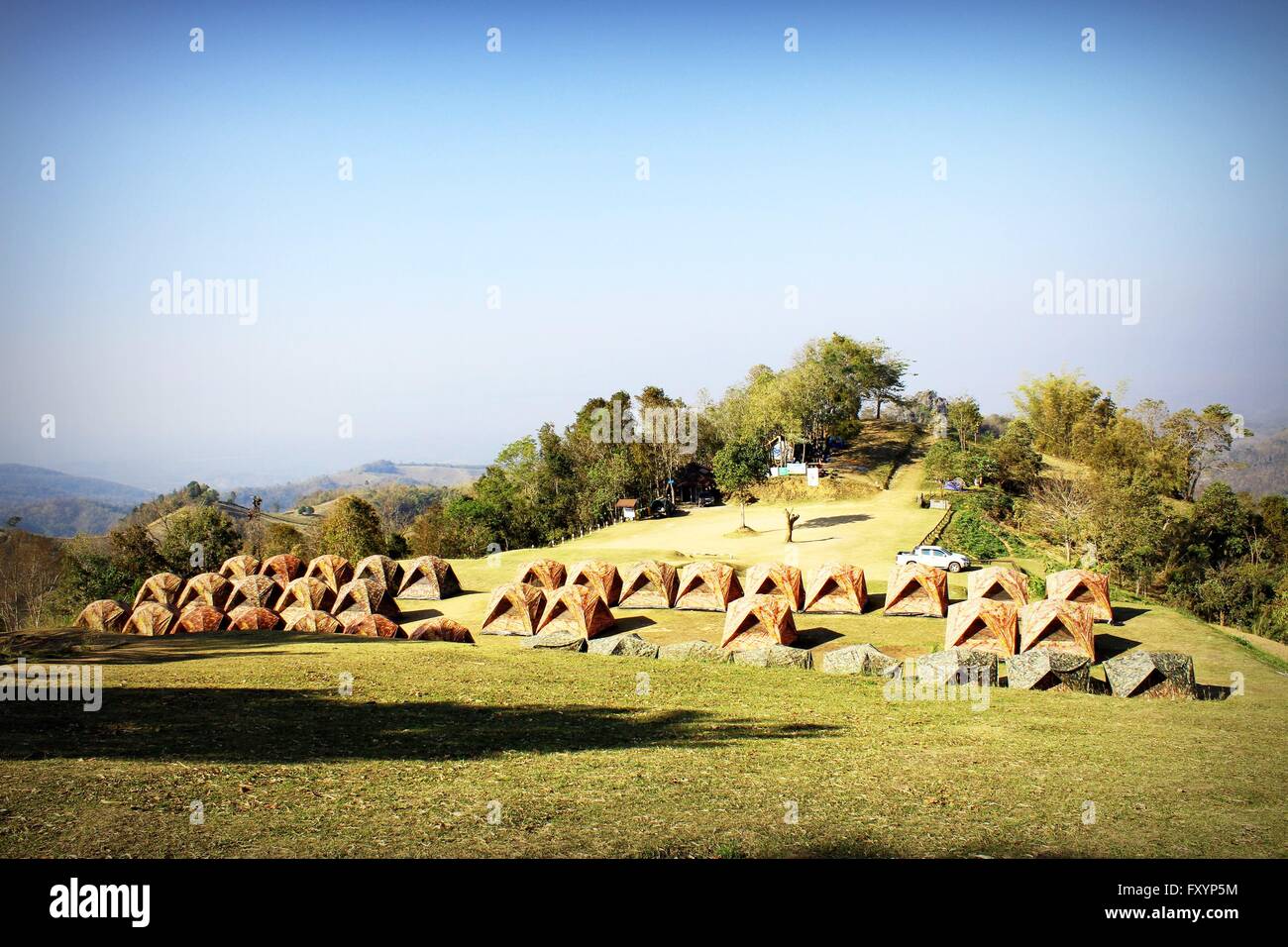 Samer tree hi-res stock photography and images - Alamy