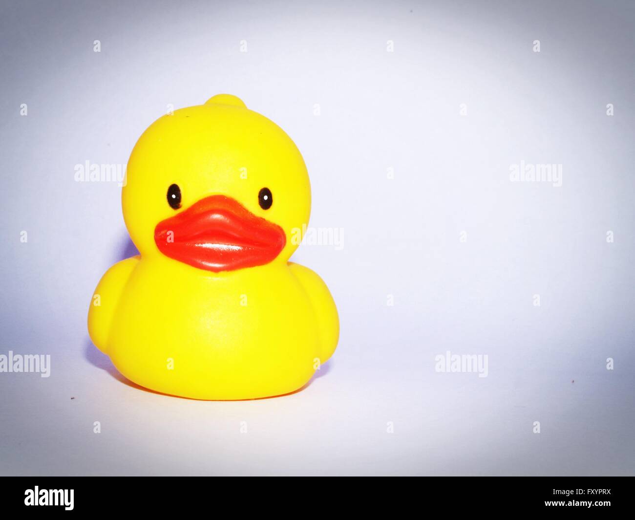 Yellow rubber duck Stock Photo - Alamy