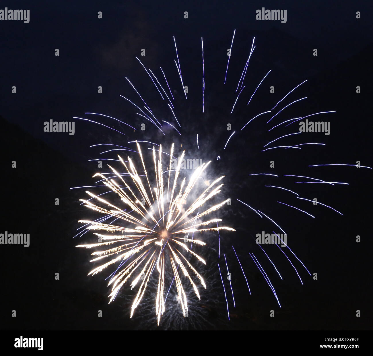 Firework explosion in a dark night Stock Photo - Alamy