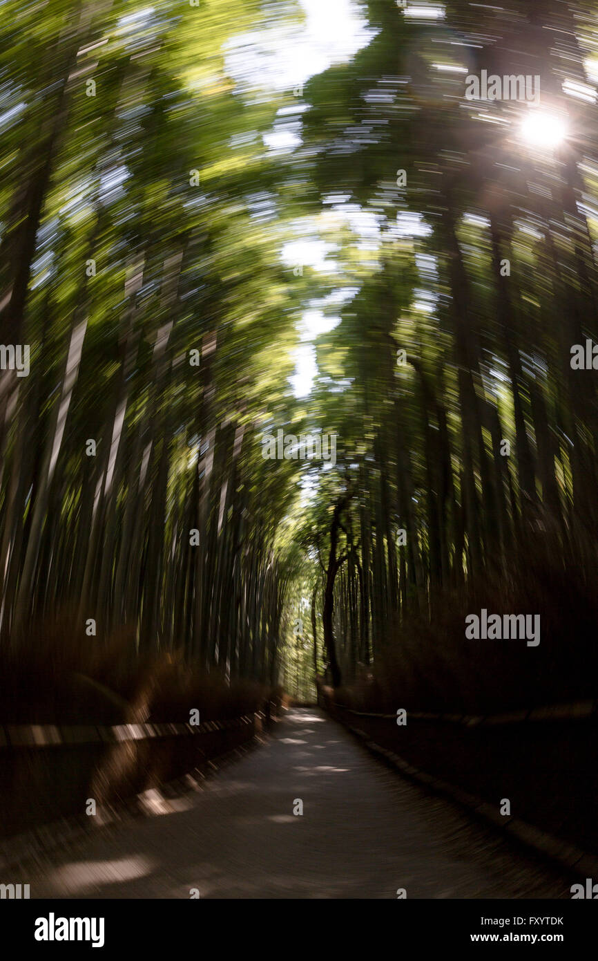 Arashiyama bamboo groove hi-res stock photography and images - Alamy