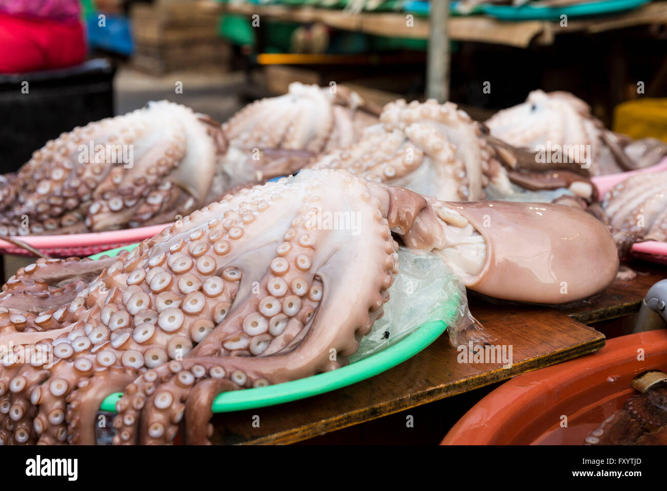 Octopus for sale at Jagalchi Fish Market, Jagalchihaean-ro, Jung-gu ...