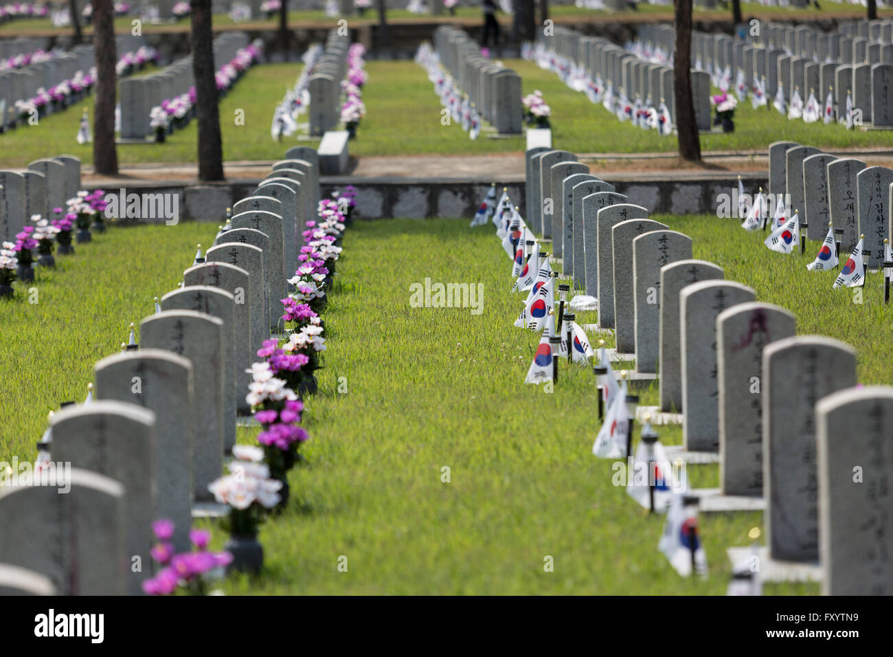 Burial Plots, Seoul National Cemetery Stock Photo - Alamy