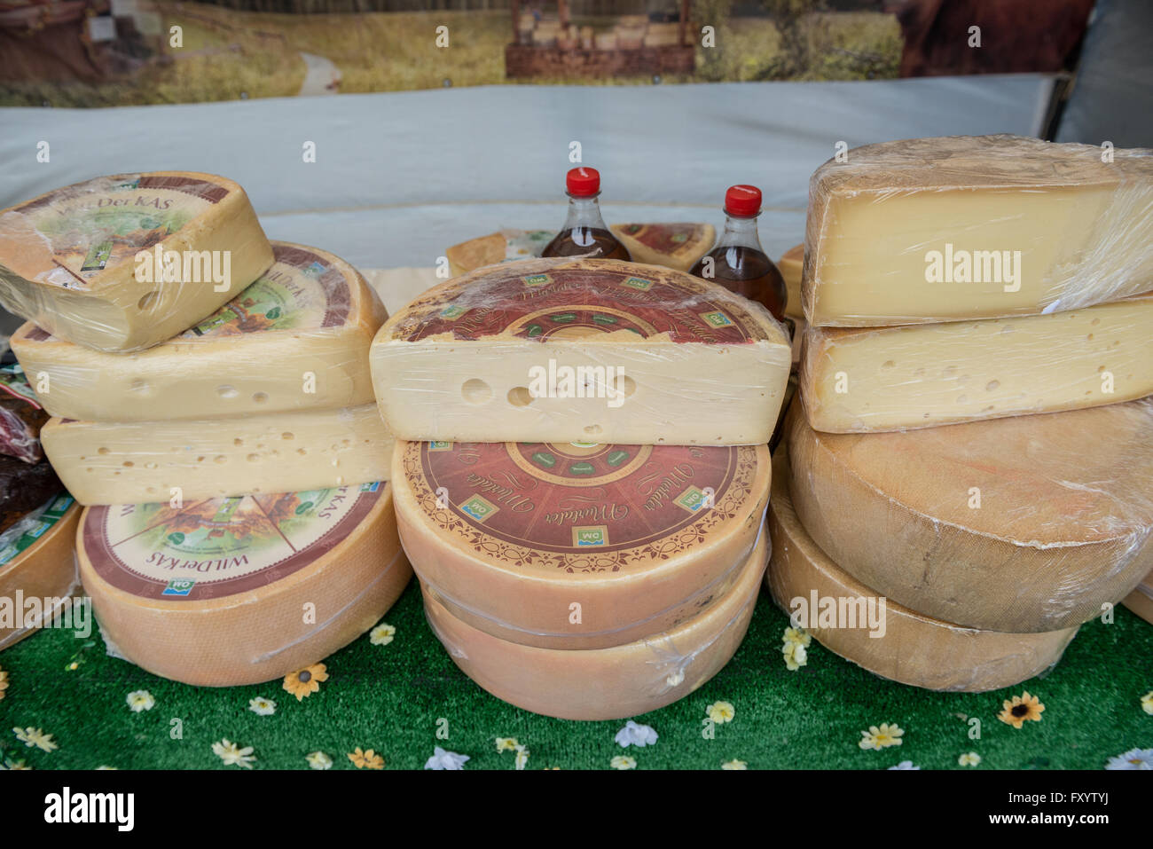 German hard cheese on traditional food market in Warsaw, Poland Stock ...
