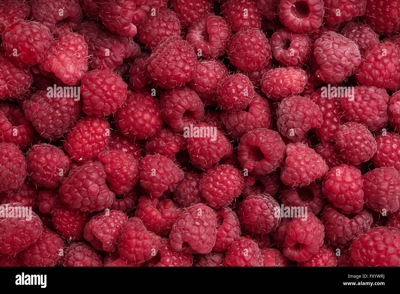Colorful juicy background from red raspberries Stock Photo - Alamy