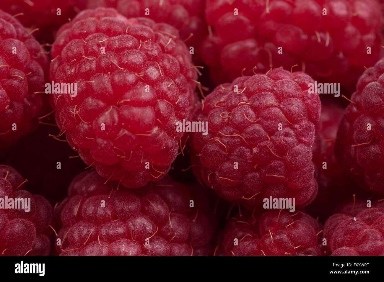 Close-up background from raspberries Stock Photo - Alamy