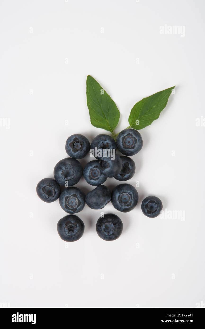 Fresh Object 021 Stock Photo - Alamy