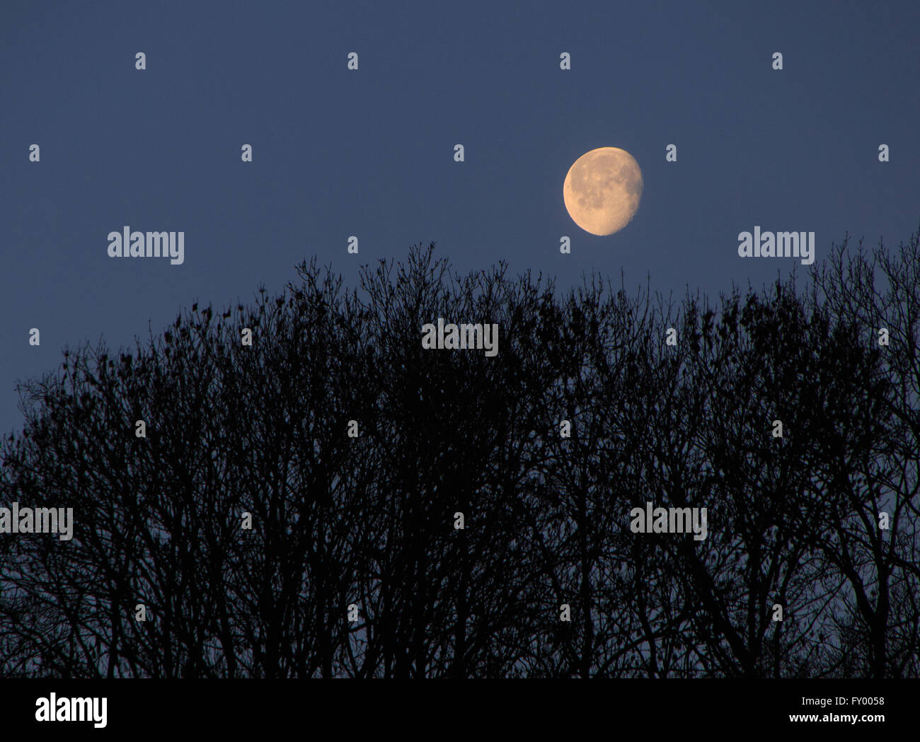 Moon landscape hi-res stock photography and images - Alamy