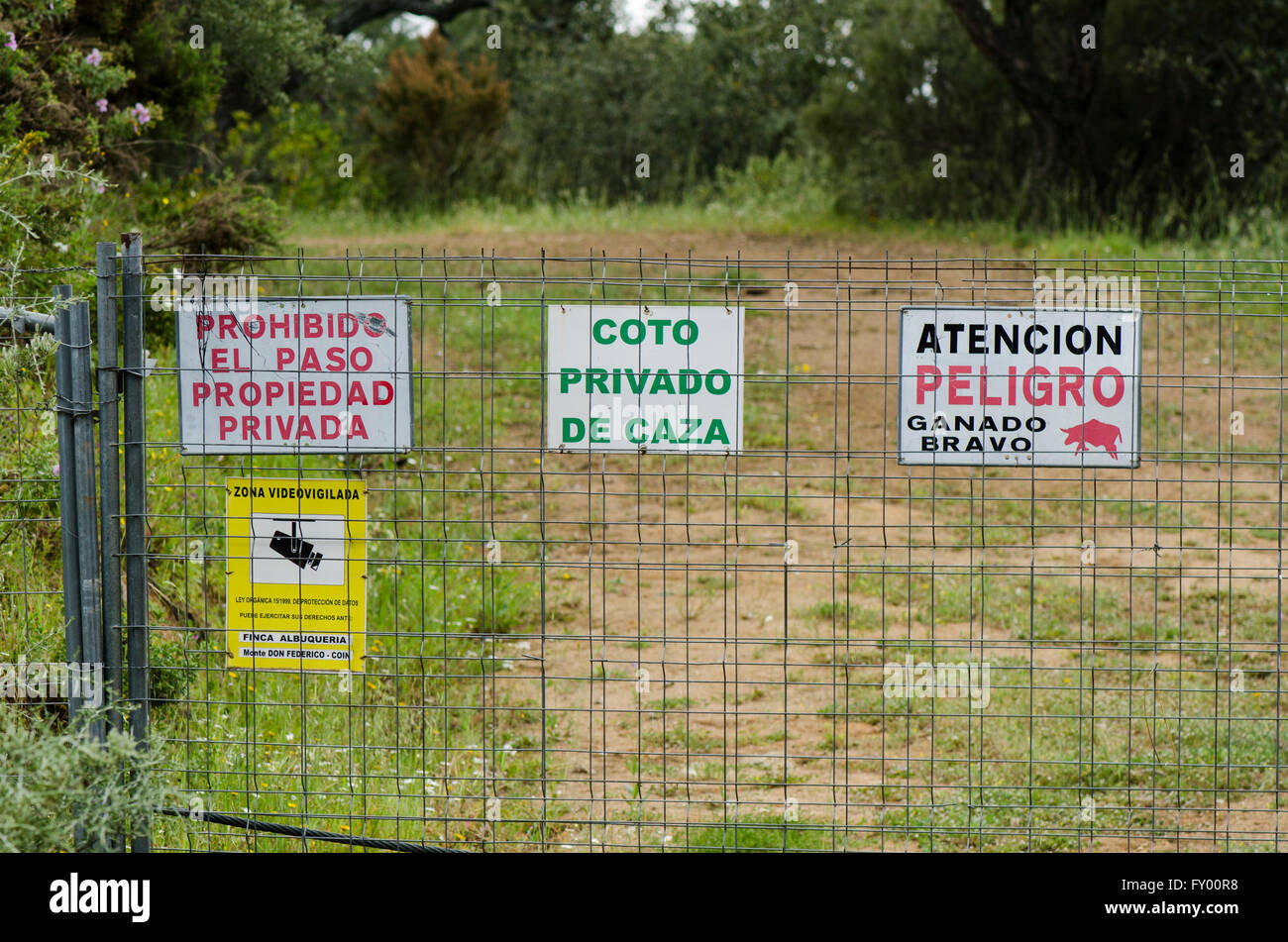 Signs to watch out for fighting bulls and private hunting area. video ...
