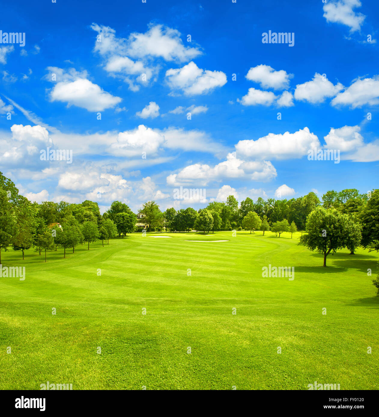 Green field and blue cloudy sky. Golf course. Fairway. European ...