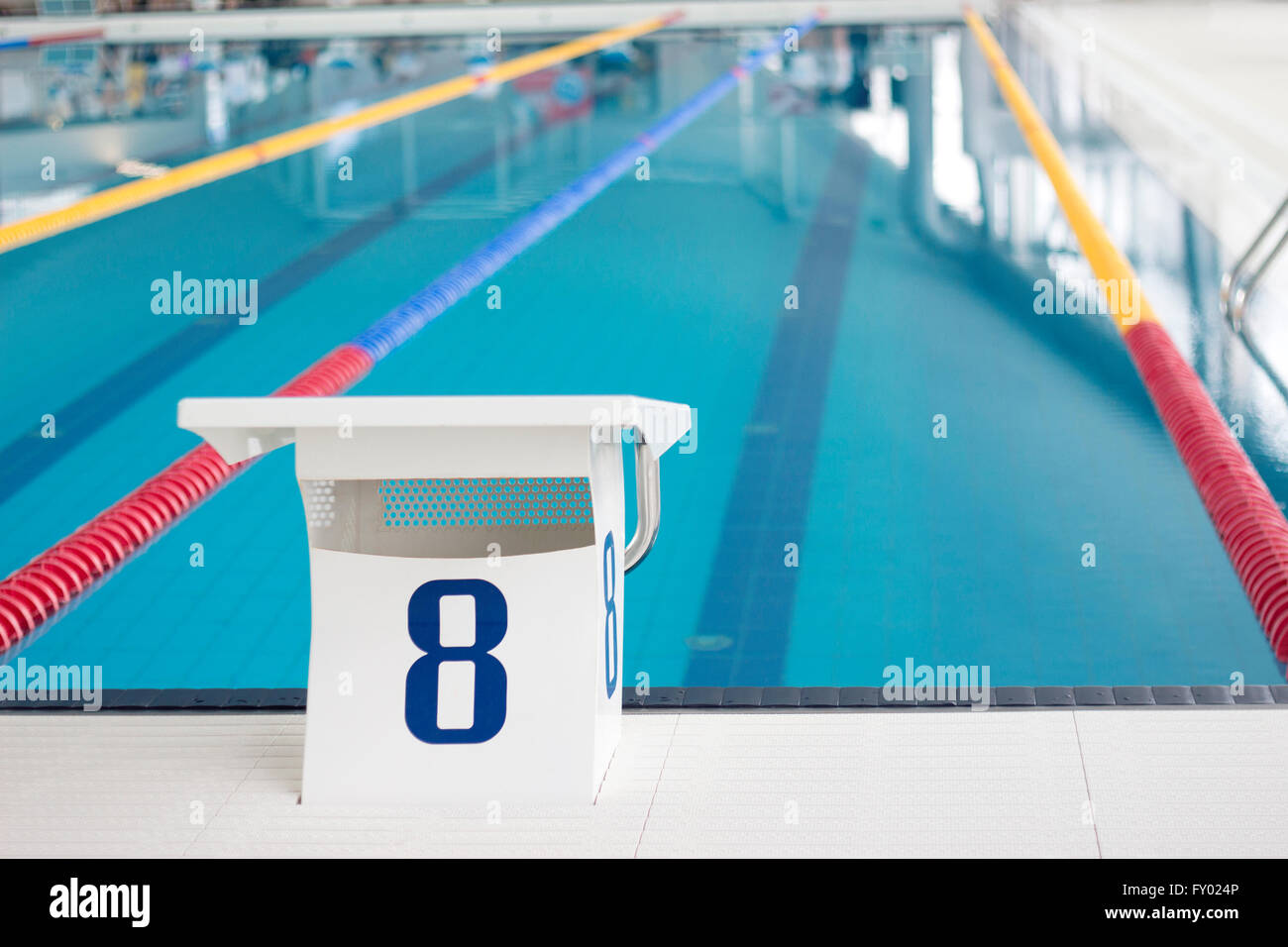 Swim bard hi-res stock photography and images - Alamy