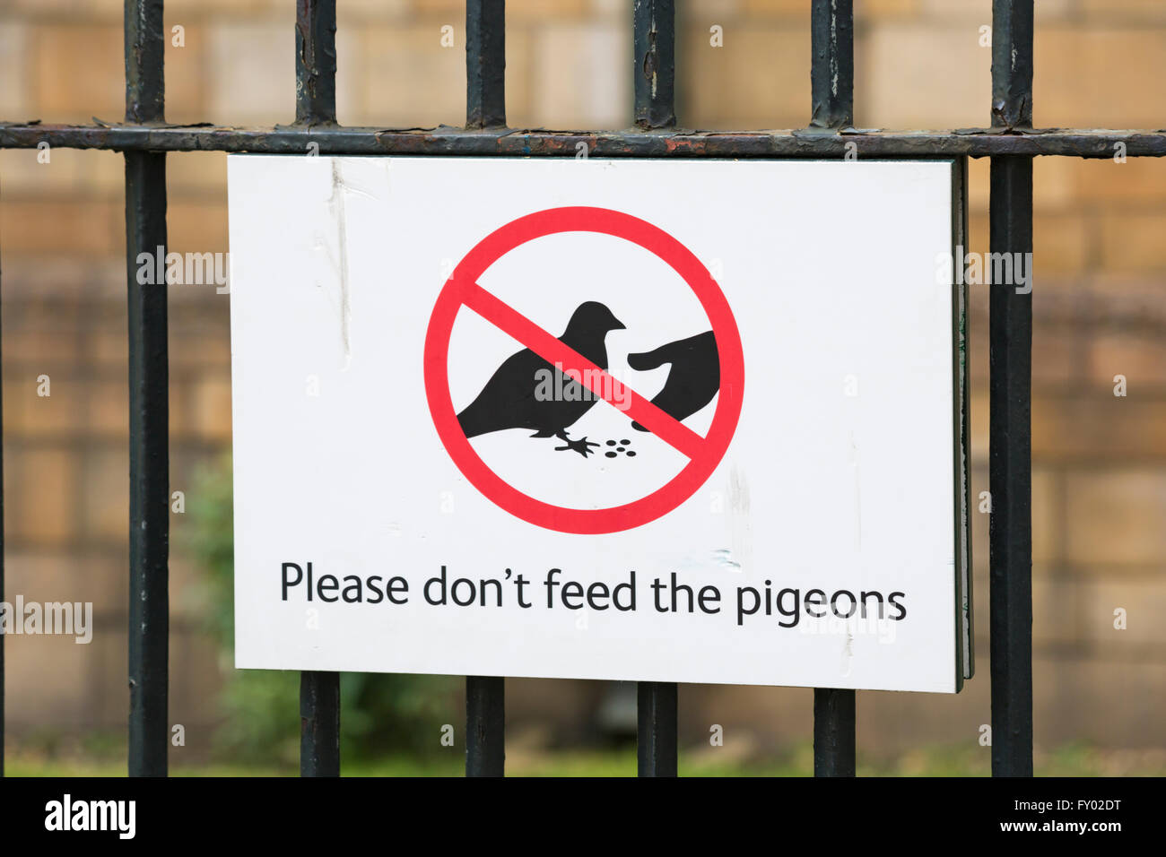 Please don't feed the pigeons sign on railings in UK Stock Photo - Alamy