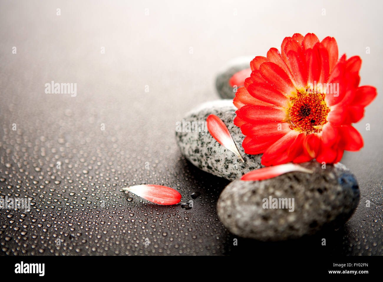 Concept Photo vol.3 Stock Photo - Alamy