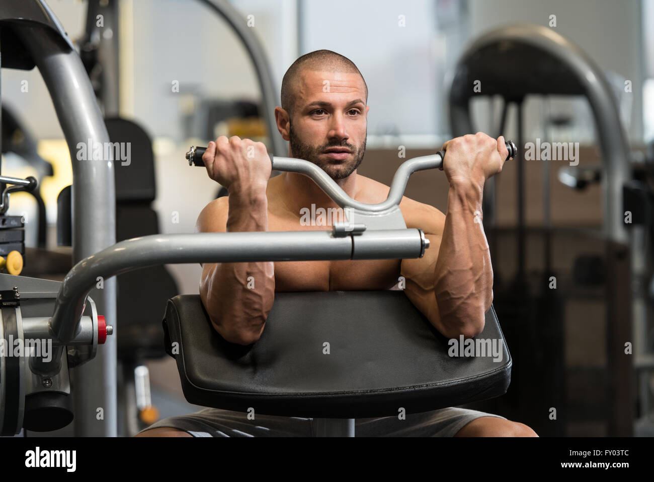 Young Bodybuilder Doing Heavy Weight Exercise For Biceps Stock Photo ...