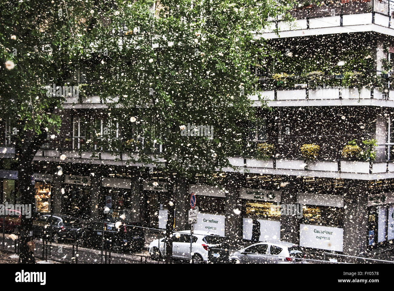 Pollini hi-res stock photography and images - Alamy