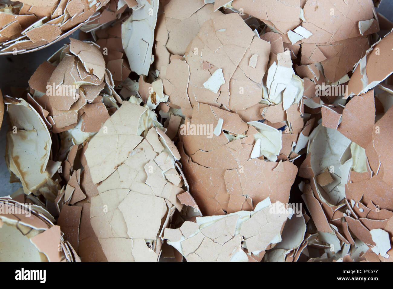 Open fracture hi-res stock photography and images - Alamy