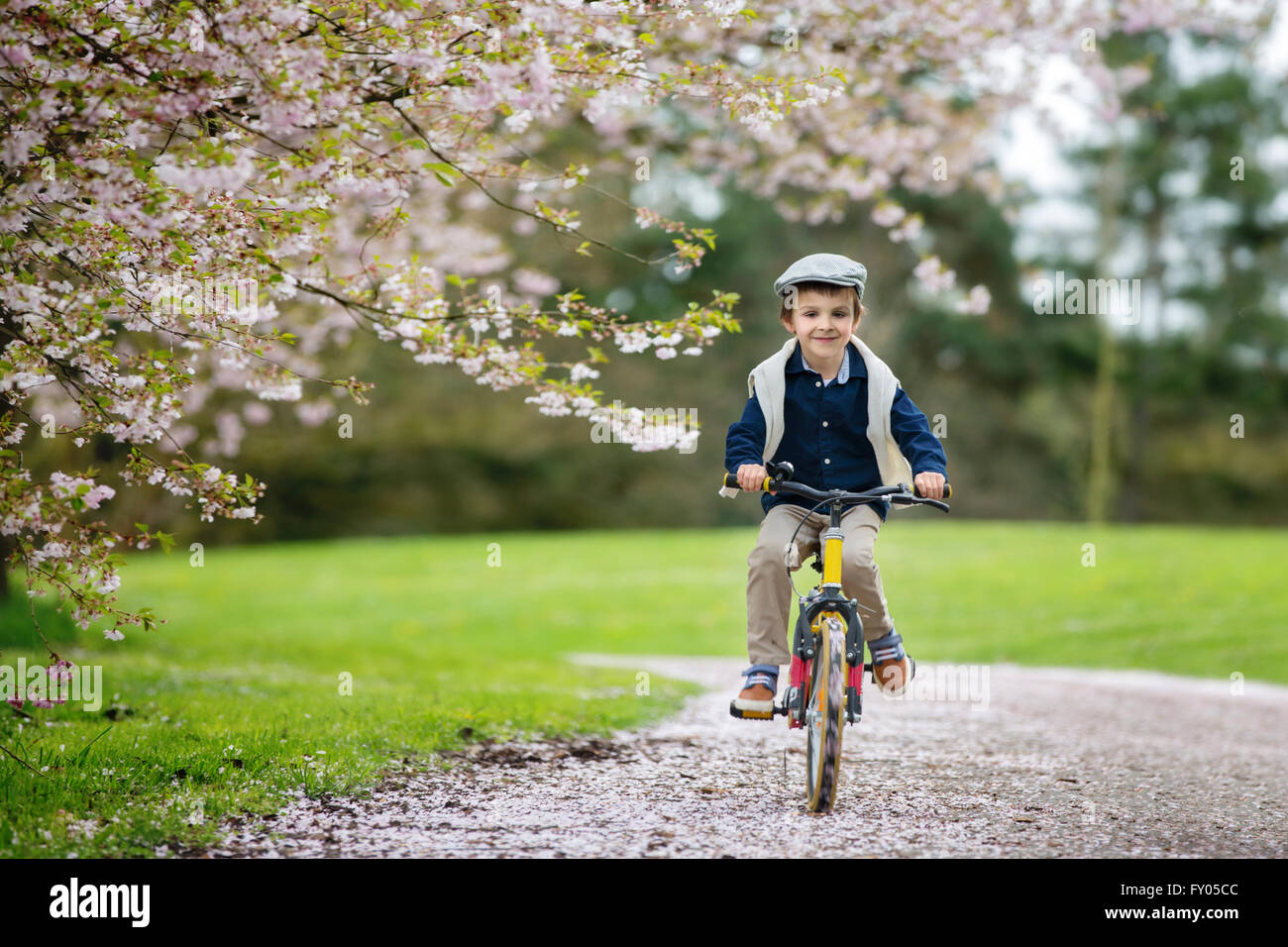 Sweet little preschool children, riding a bike in a cherry blossom ...