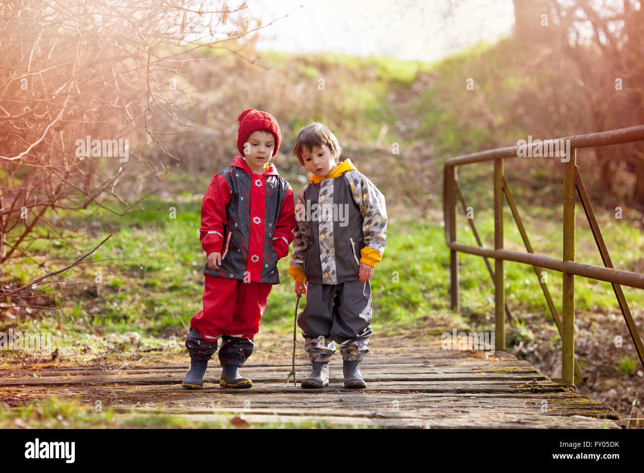 Two cute children, boy brothers, playing together in the park, rural ...