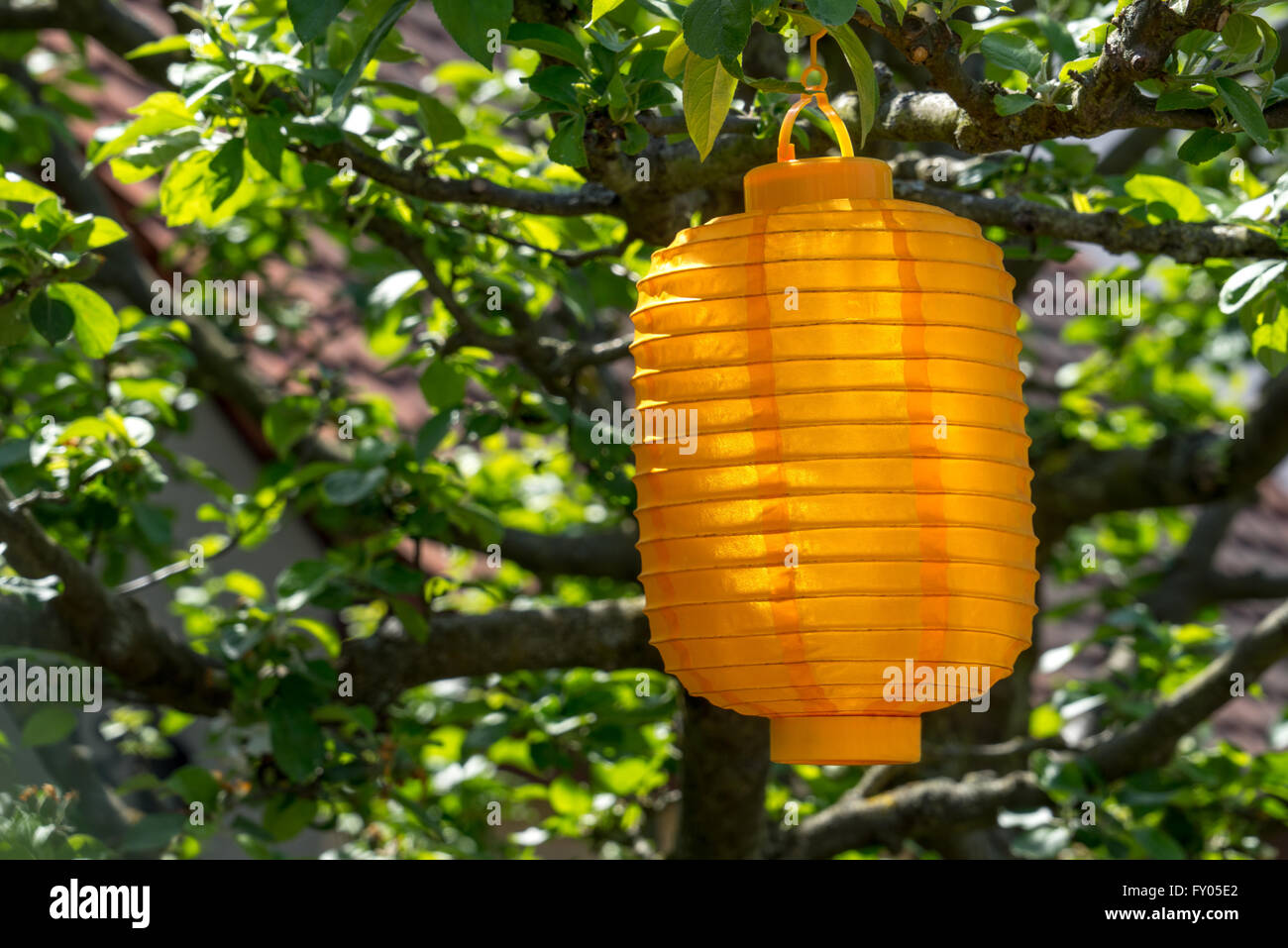 Lampion hi-res stock photography and images - Alamy