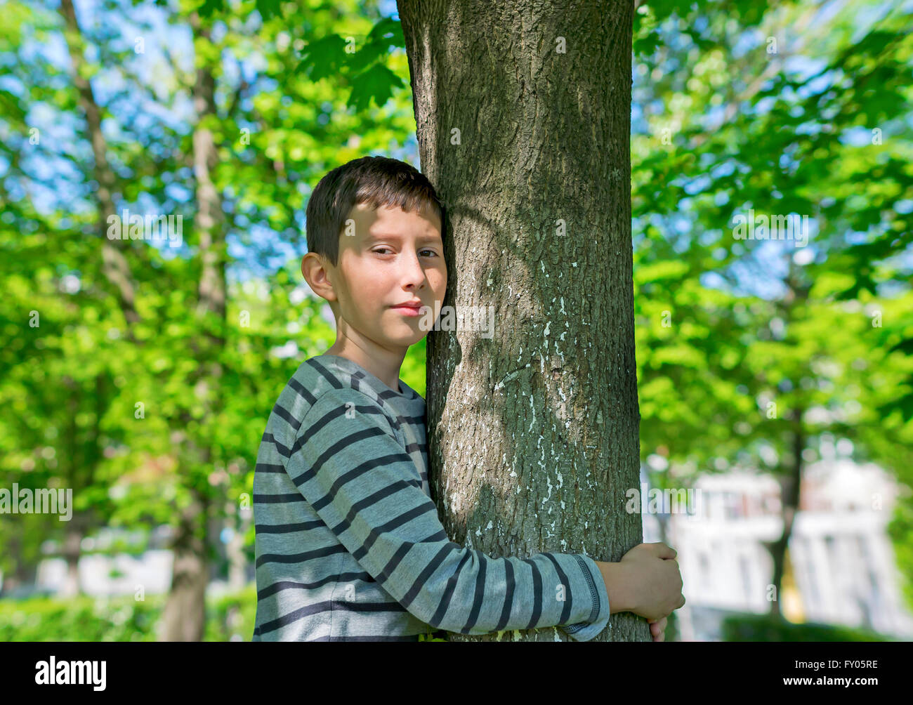 Young boy hugs a tree - environmental concept Stock Photo - Alamy