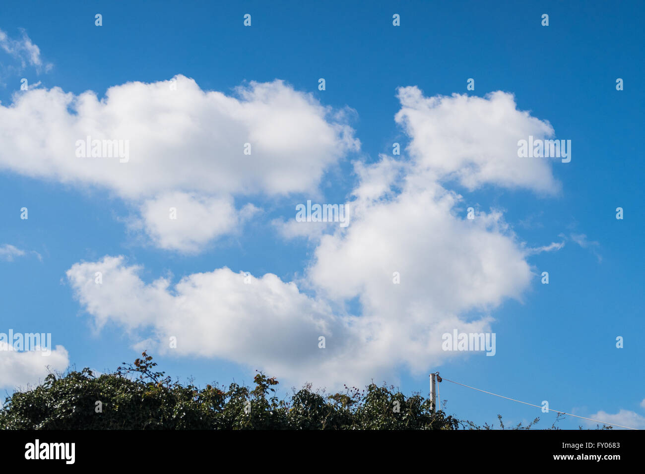 The concept of tranquility with white fluffy clouds against a blue sky ...
