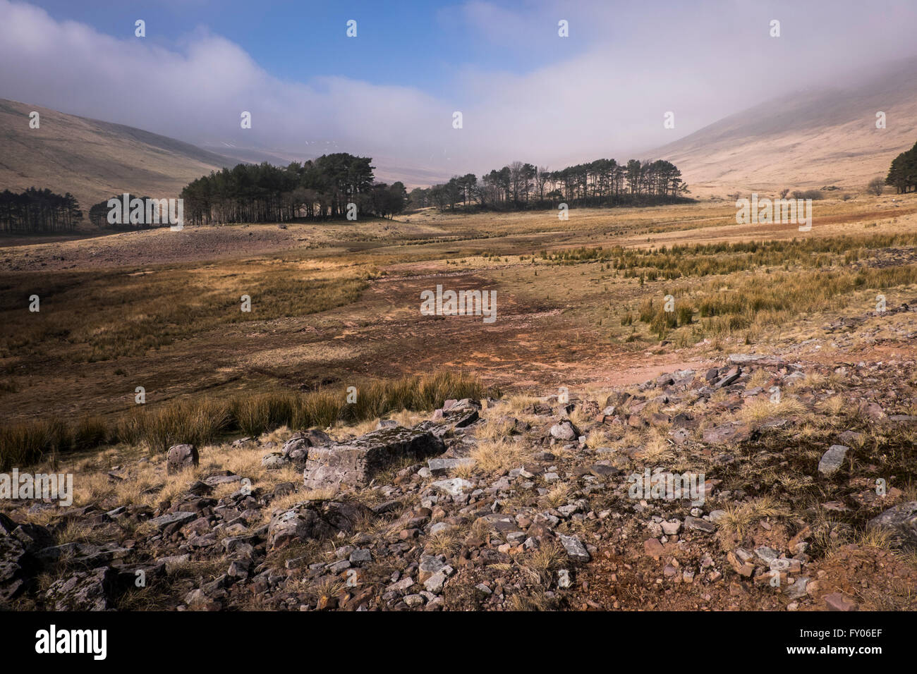 Upper neuadd hi-res stock photography and images - Alamy