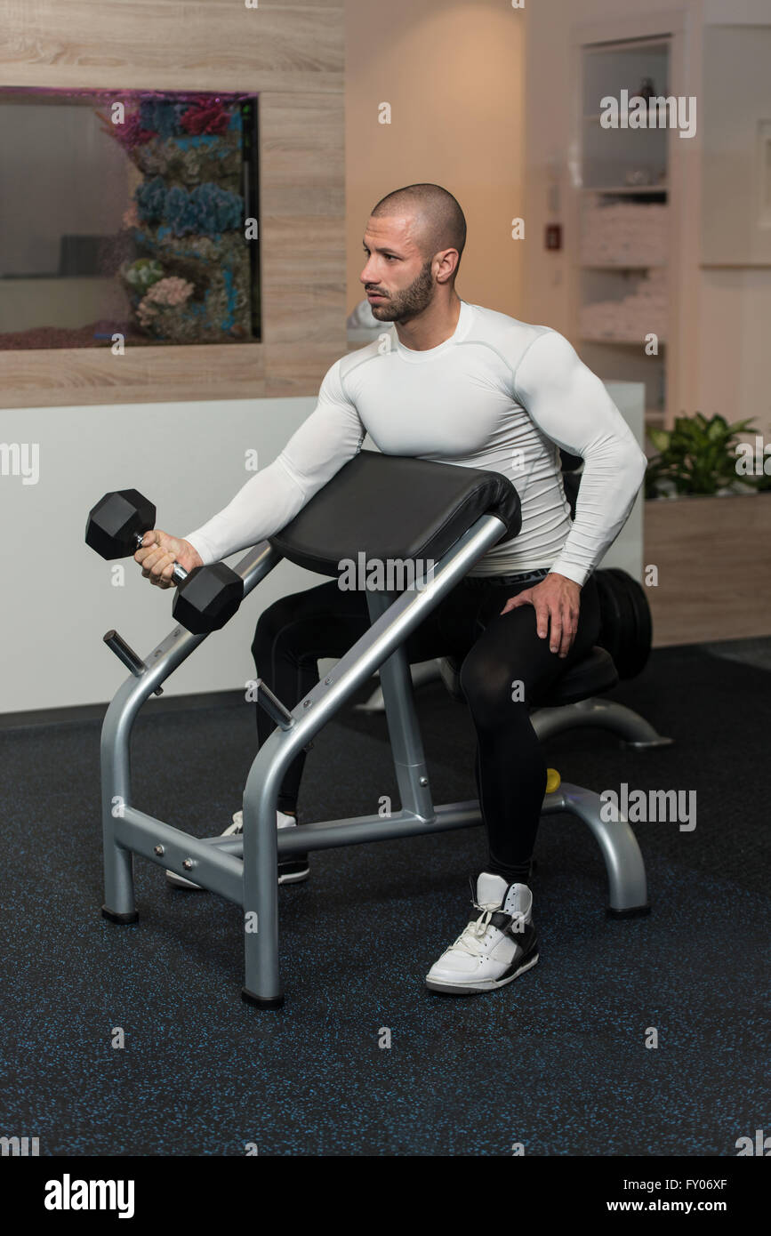 Young Healthy Man Working Out Biceps - Dumbbell Concentration Curls ...