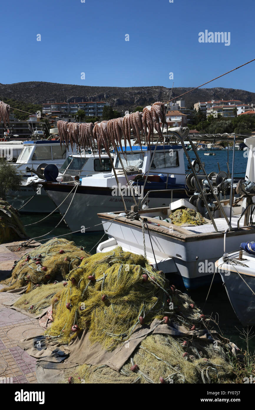 Octopus nets hi-res stock photography and images - Alamy