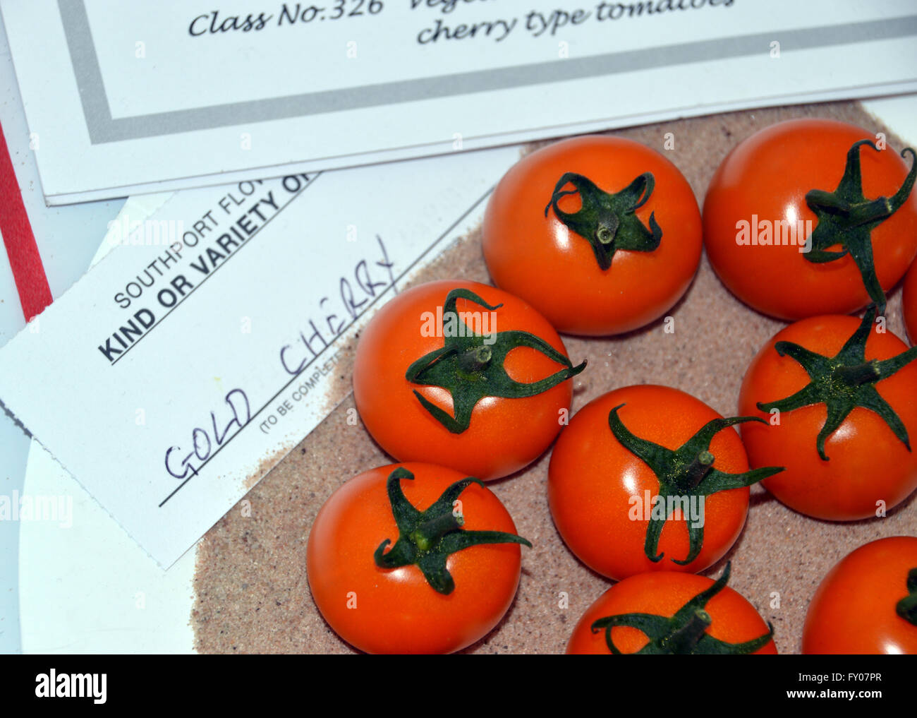 An Exhibit of Gold Cherry Tomatoes in Sand on Display at the Southport ...