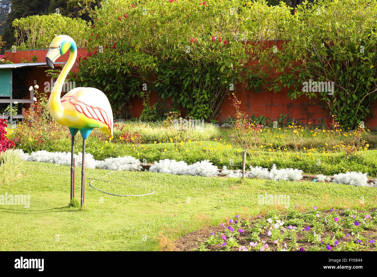 Flamingo garden hi-res stock photography and images - Alamy