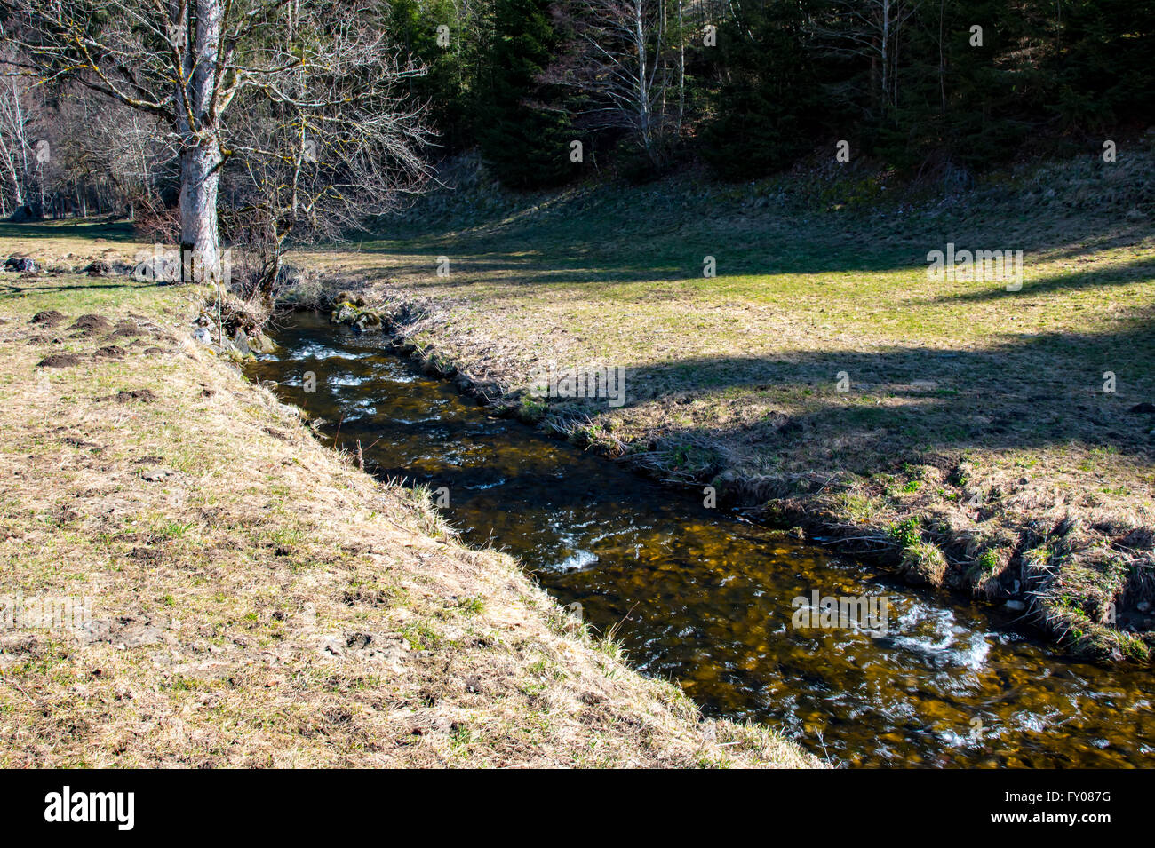 Mountain River in early spring Stock Photo - Alamy