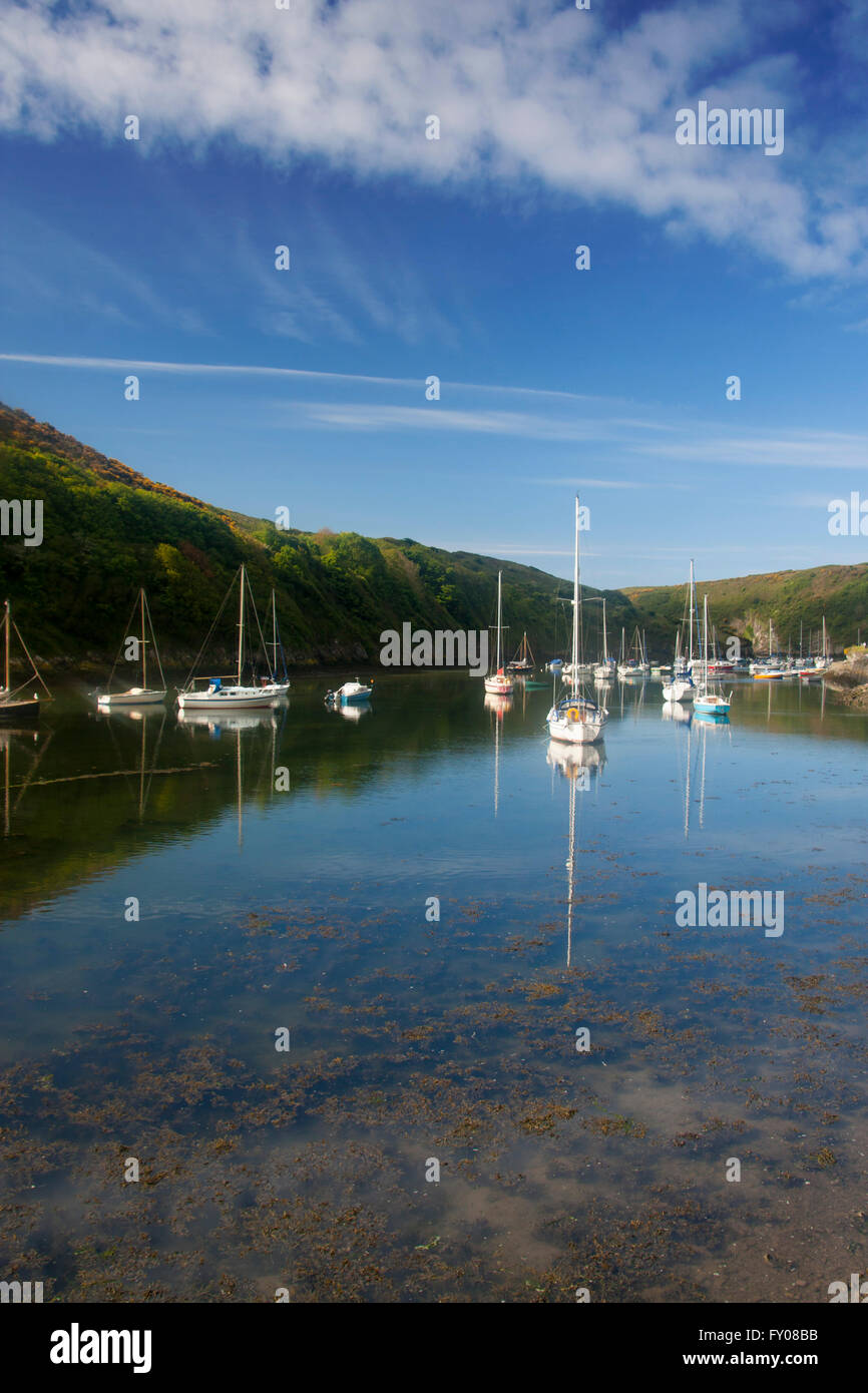 Solva HArbour with boats estuary river ria Solfach Pembrokeshire Wales ...
