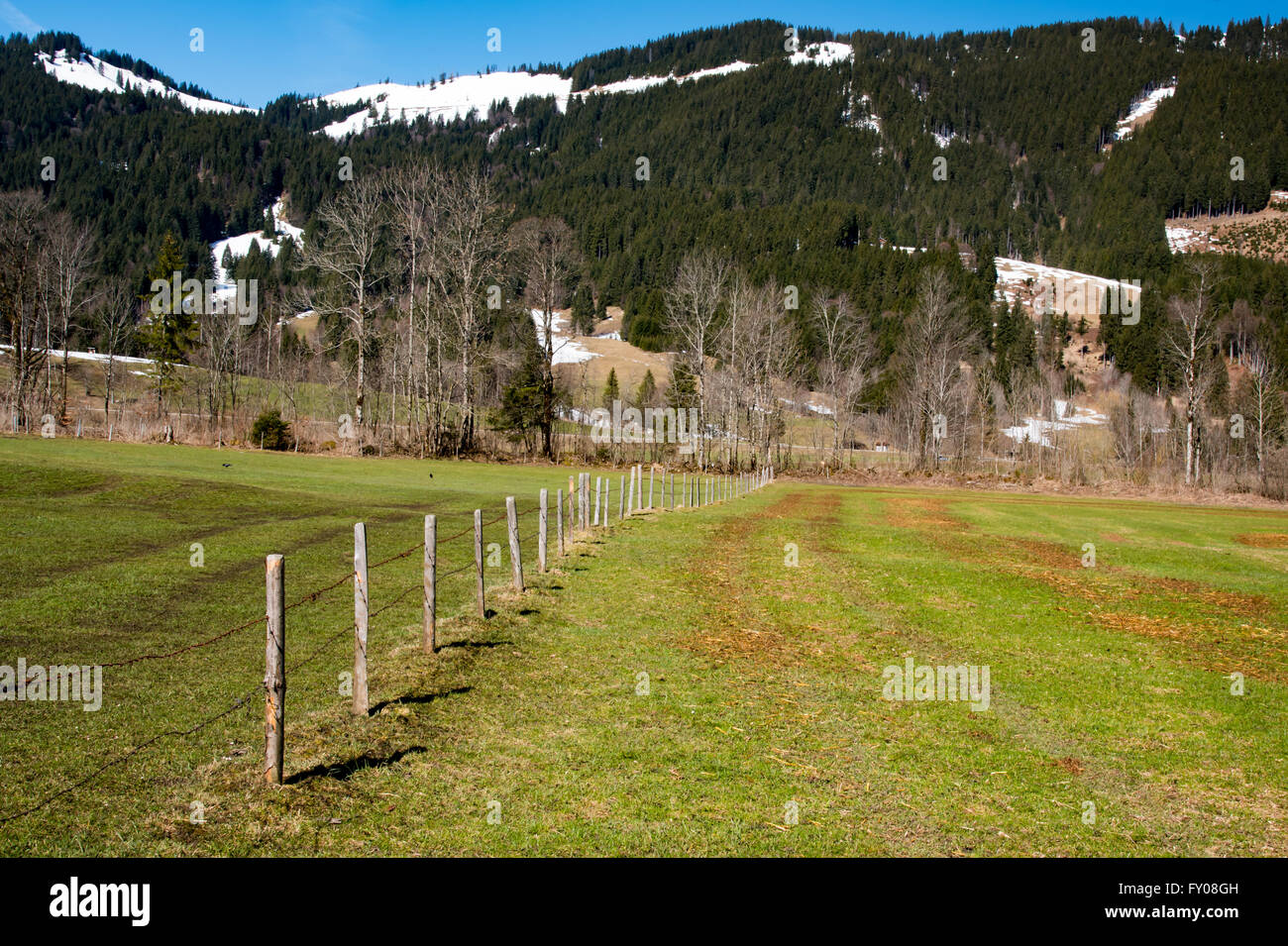 field of spring grass and mountain Stock Photo - Alamy