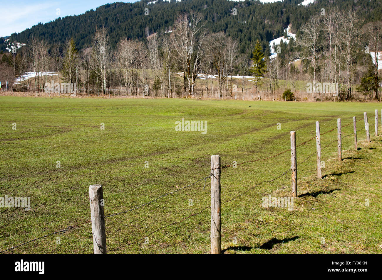 Blue countryside field forest hi-res stock photography and images - Alamy