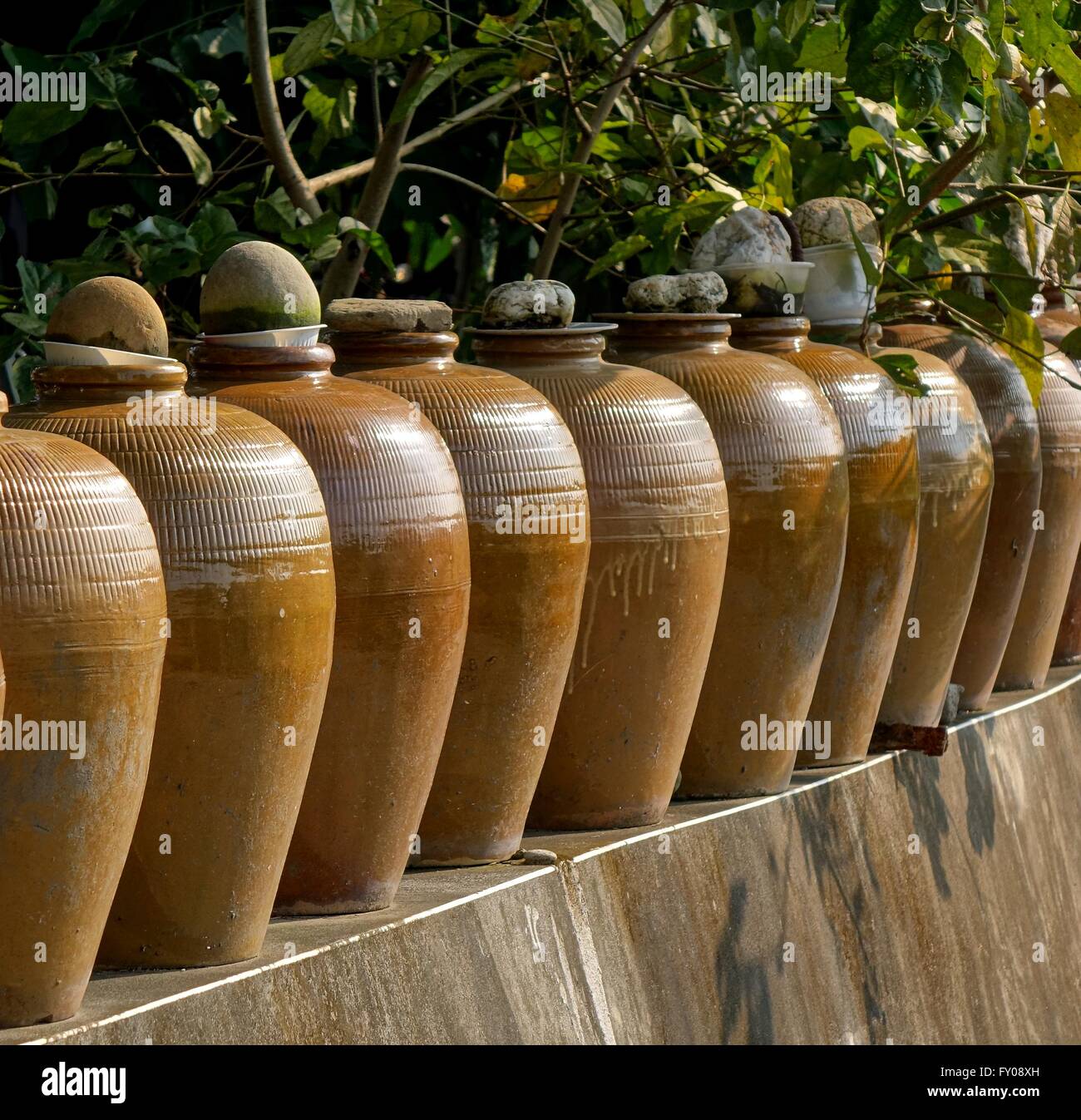 A row of large pickling jars on a garden wall Stock Photo - Alamy