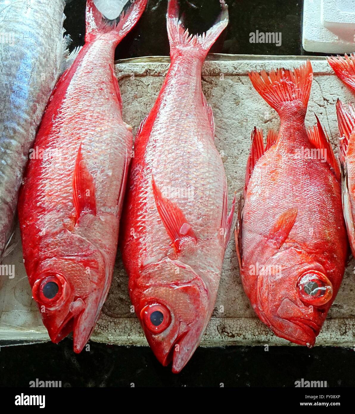 Large red snappers for sale at the fish market Stock Photo - Alamy